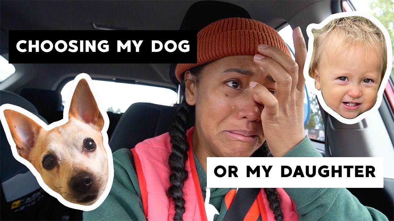 Making the difficult choice of giving away my dog after 12 years