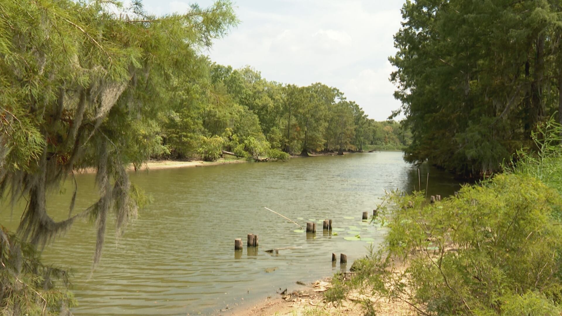 LDWF arrests two on Spring Bayou WMA