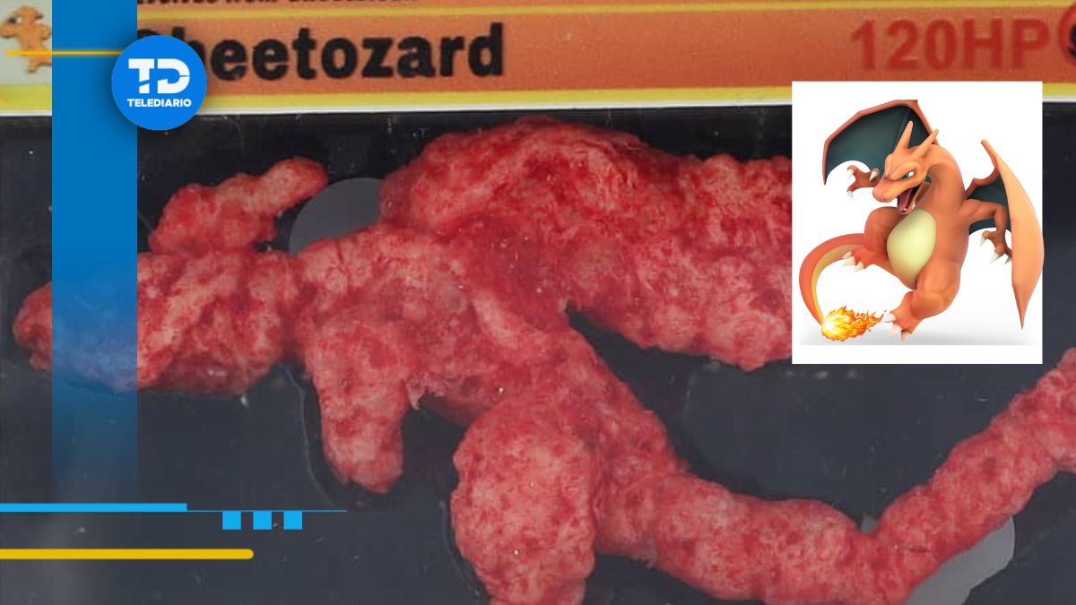 Cheto con forma de Charizard fue subastado por más de un MILLÓN de ...