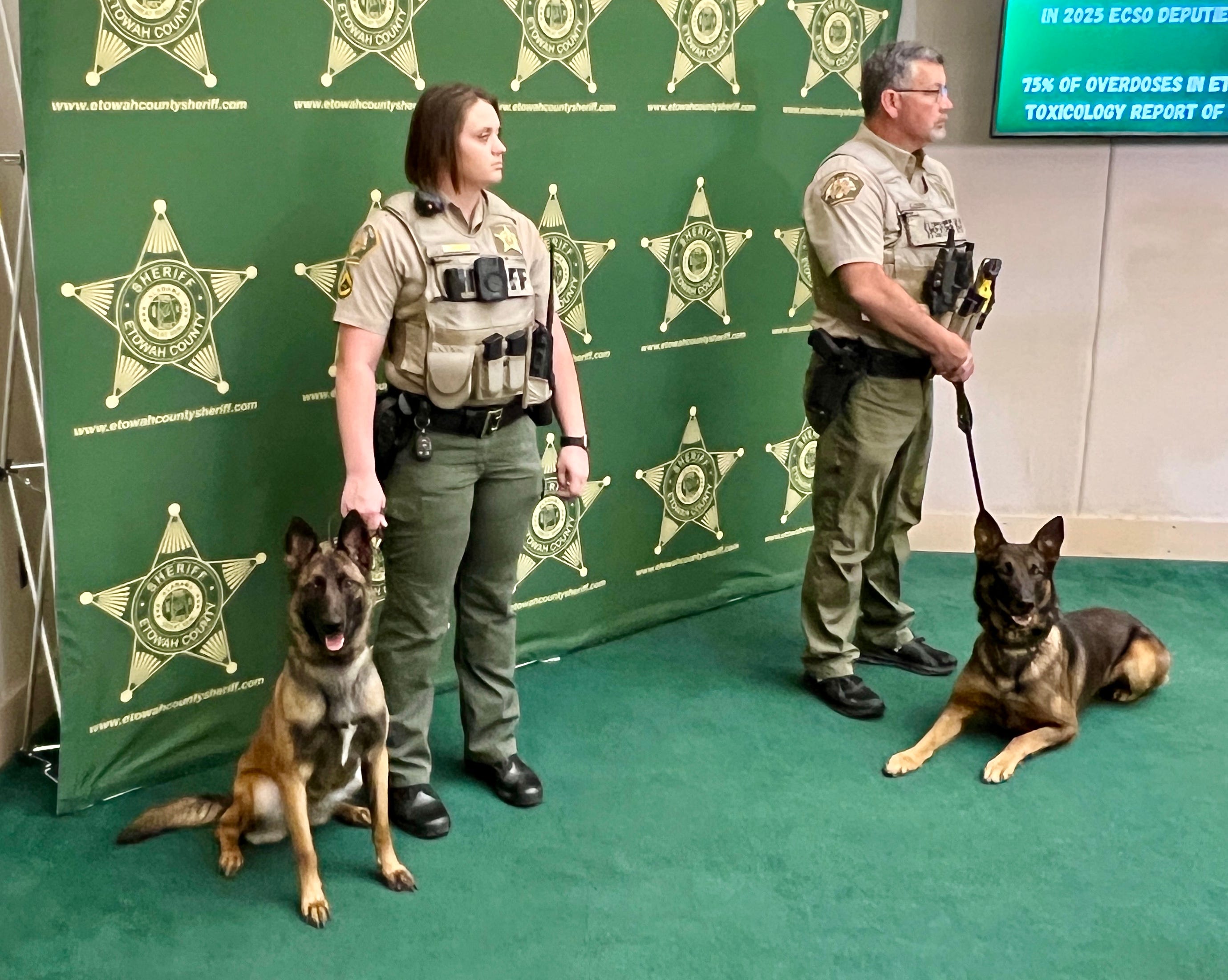 Sheriff's deputies seize enough fentanyl 'to kill everyone in Etowah ...