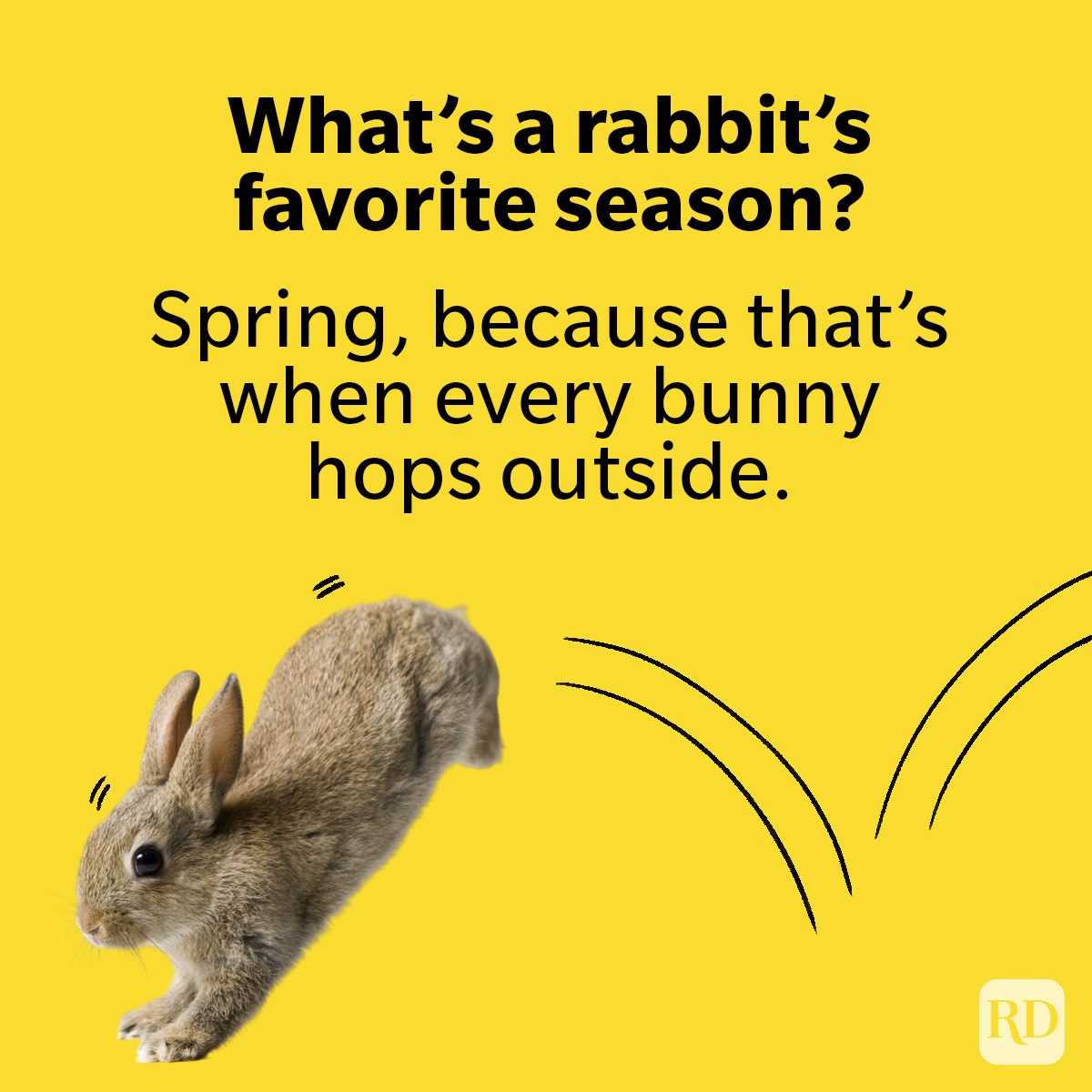 96 Easter Jokes That Will Crack Up Your Peeps