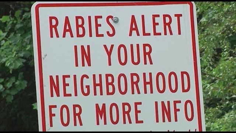 Rabid fox captured in Griffin after attacking family dog