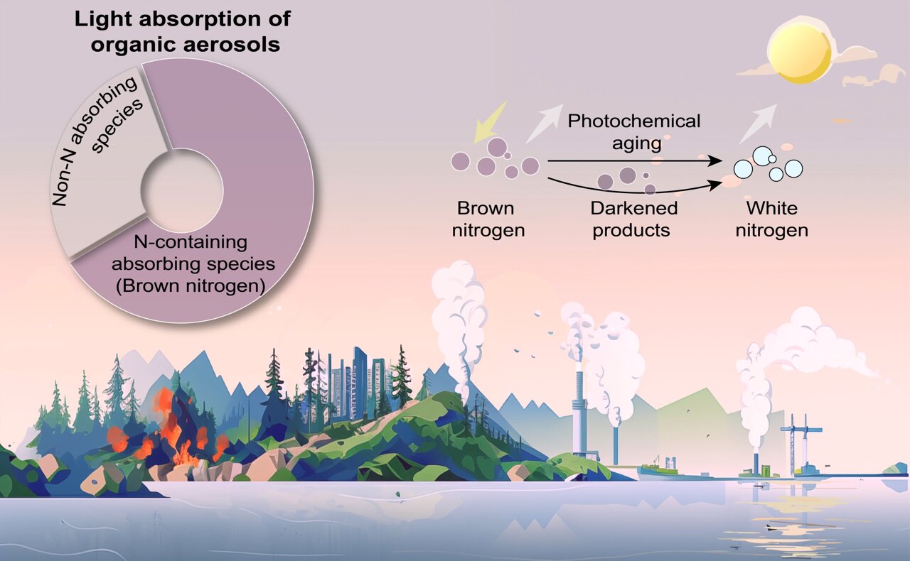 Nitrogen's dominant role in global organic aerosol absorption revealed