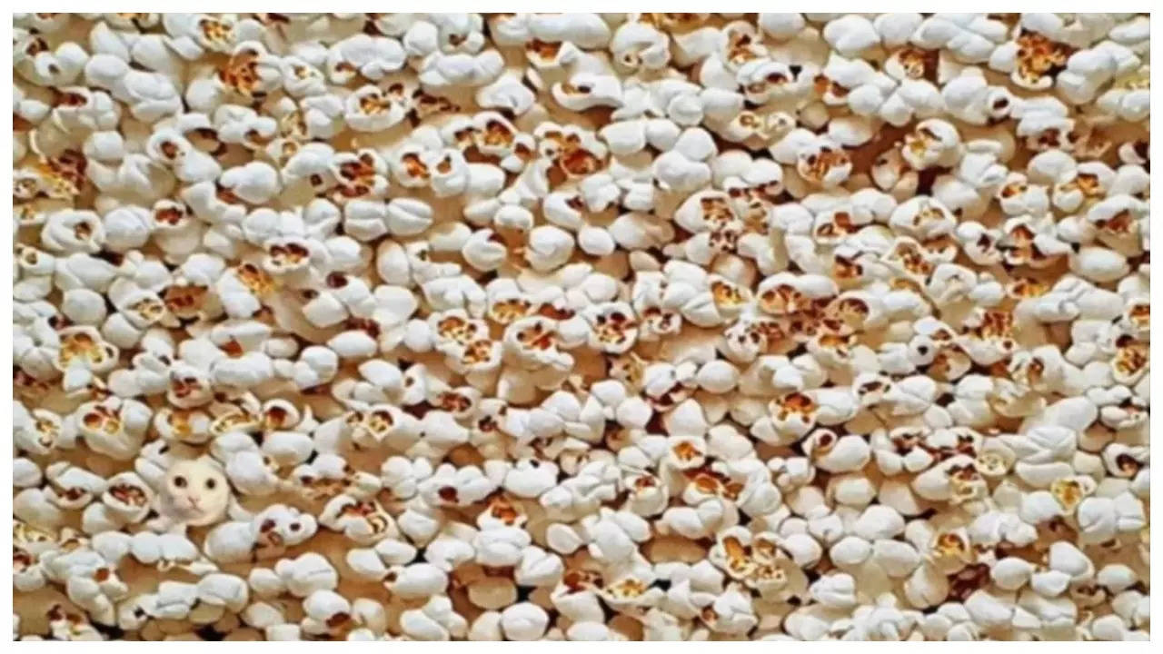 Optical illusion: Only those with a sharp vision can find the cat hiding in the popcorn in just ...