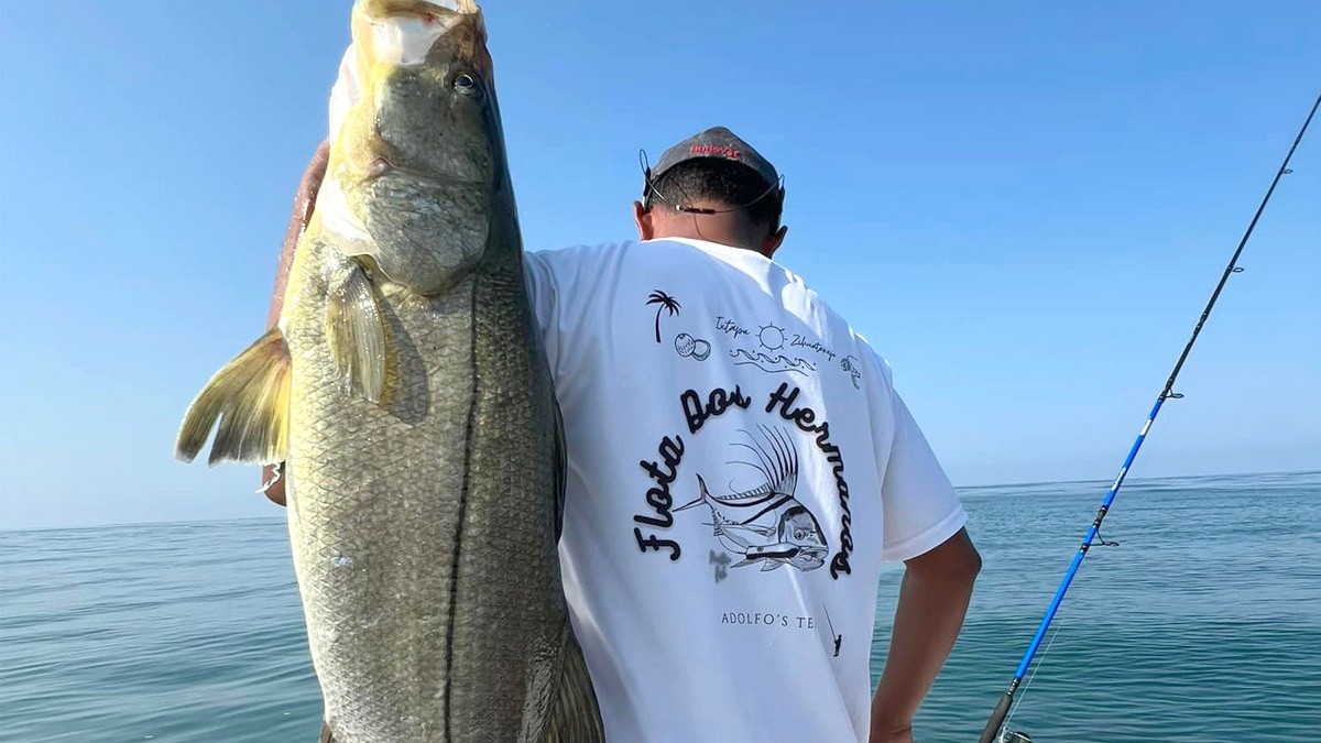 Por qué todo pescador deportivo busca atrapar siempre un pez robalo