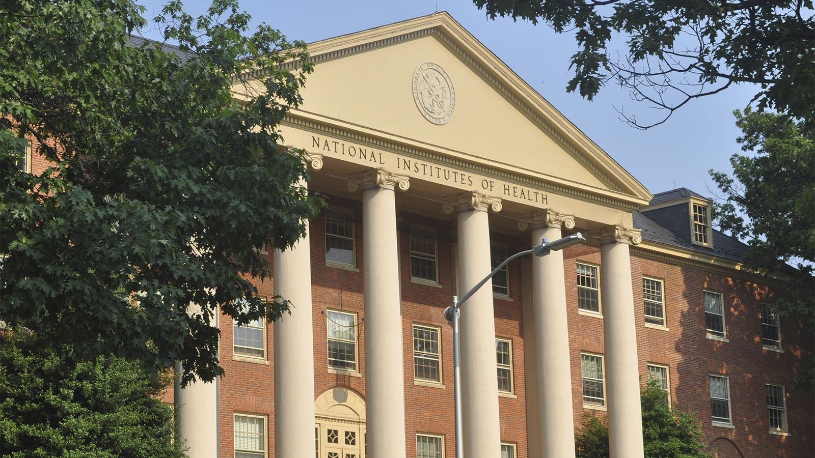 Jobs Lost and Lifesaving Cures Not Discovered: Possible Impacts of ...