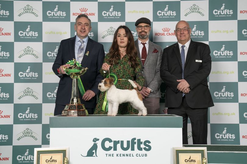 Crufts 2025 Day 1 full list of every breed winner for terriers and hounds