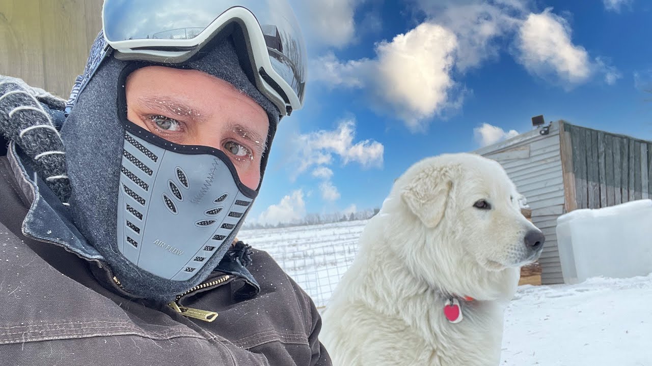 "Just Me, My Dog, and the Bitter Cold"