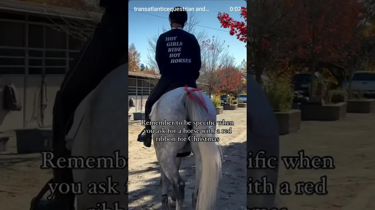 Funny Christmas Horse Riding Fail: Remember to be Specific!