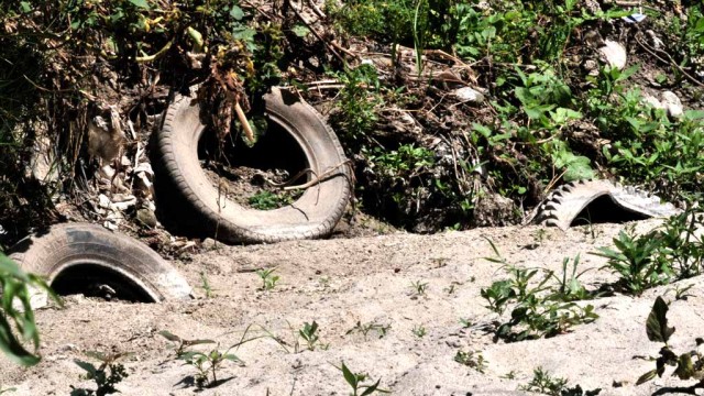 Rep. Scott Peters Introduces Cross-Border Pollution Mitigation Funding Bill