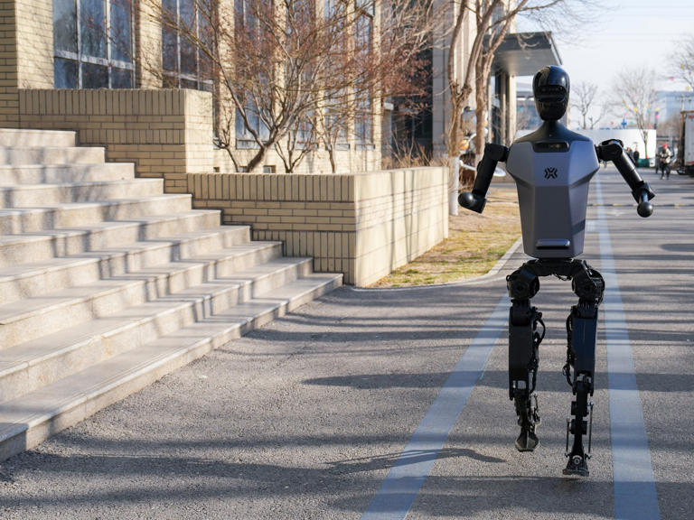 Robots and humans will compete with each other in the first humanoid ...