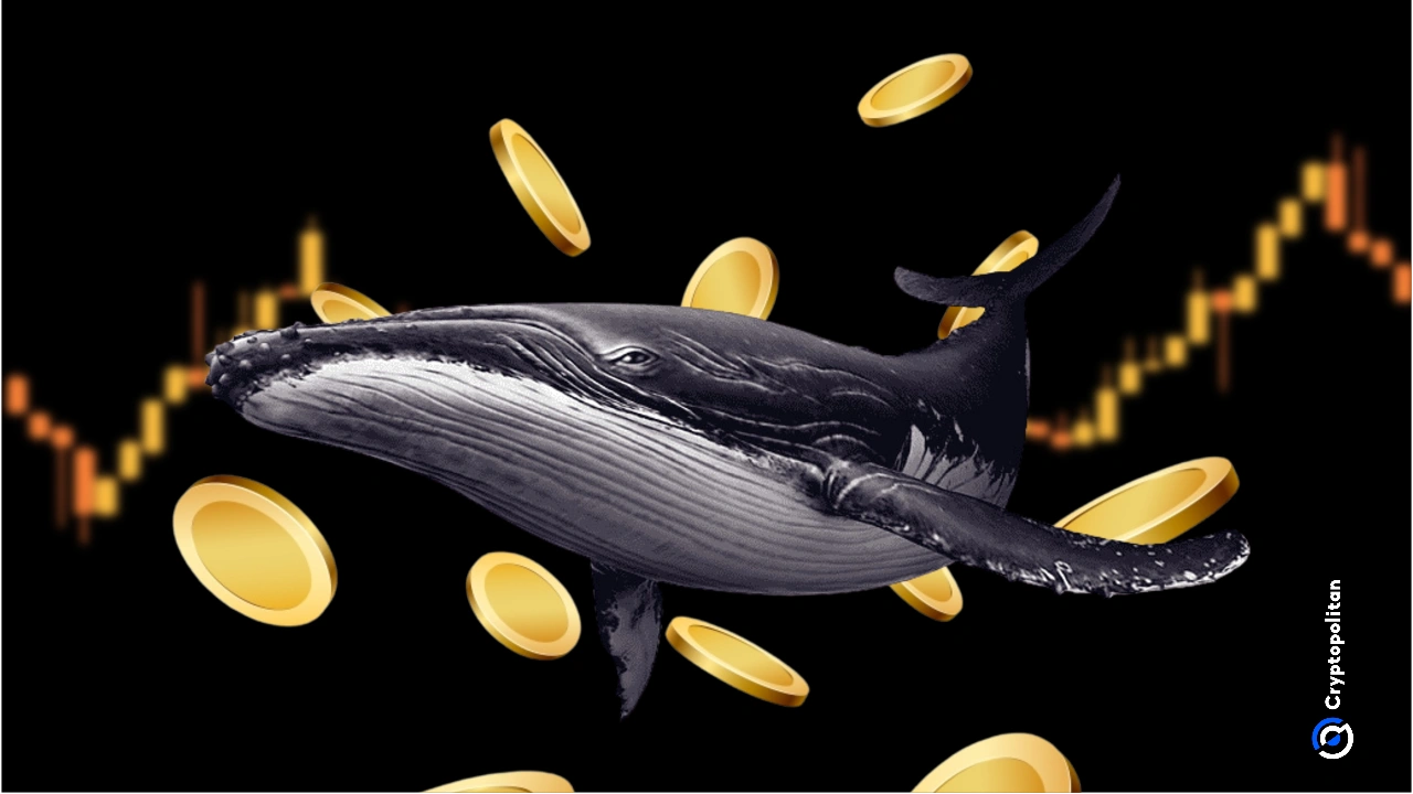 Whale deposits to Binance reach a three-month high