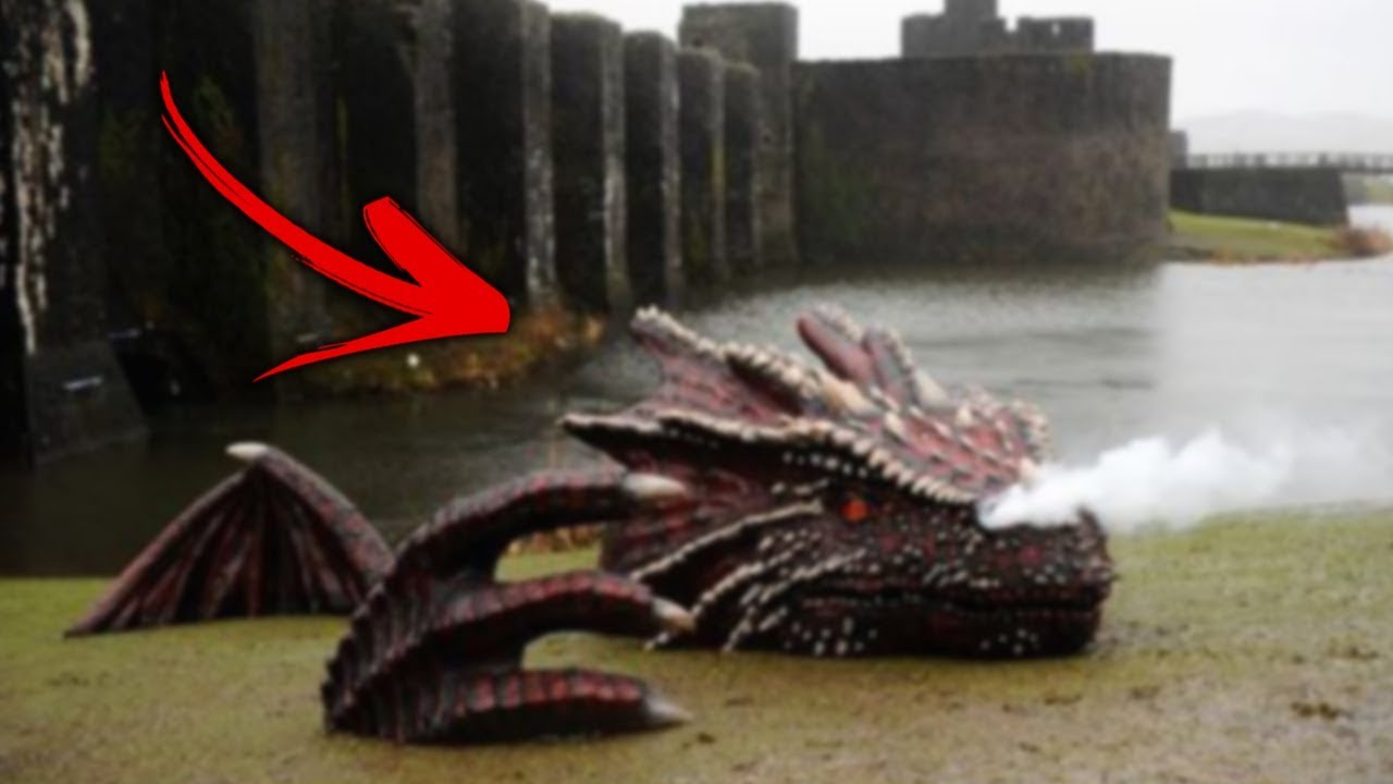 7 Unbelievable Accounts of Dragons Spotted in Nature