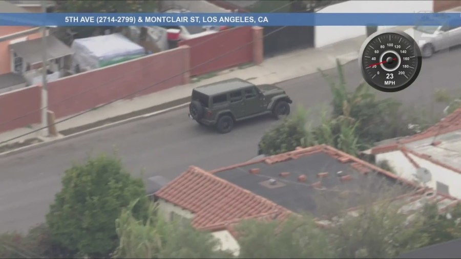 LAPD captures suspected car thief after chase