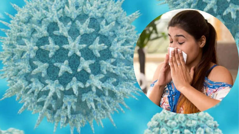 Delhi Faces Worse H1N1 Swine Flu Outbreak in Years As Cases Rise; Here ...