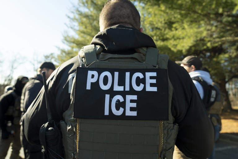 ‘Anti-ICE’ reporter drops proof that agency hired her after DHS called ...