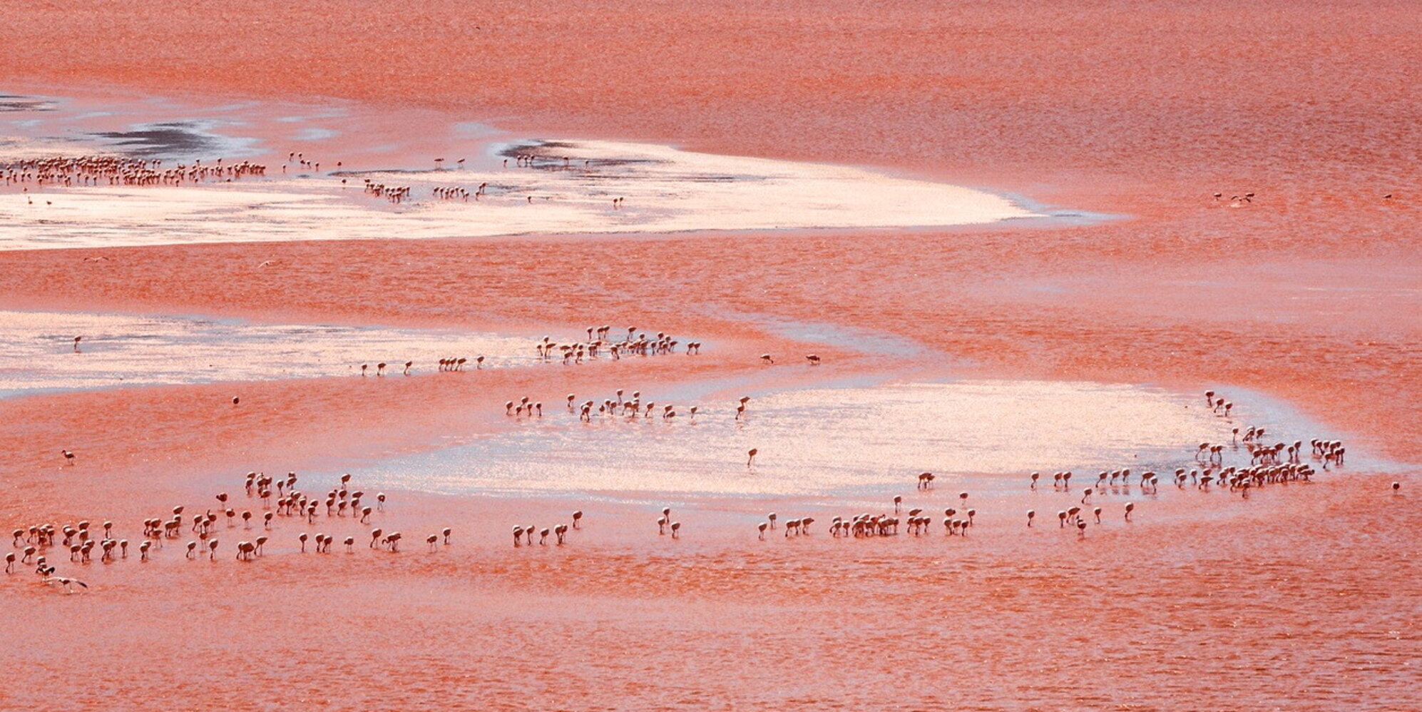 Dieci luoghi del mondo in cui vedere la realtà… in rosa