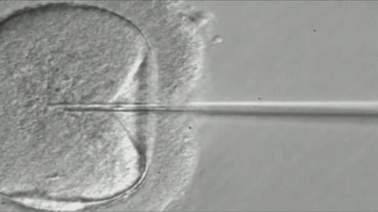 Parents travel to Alabama State House for IVF Advocacy Day