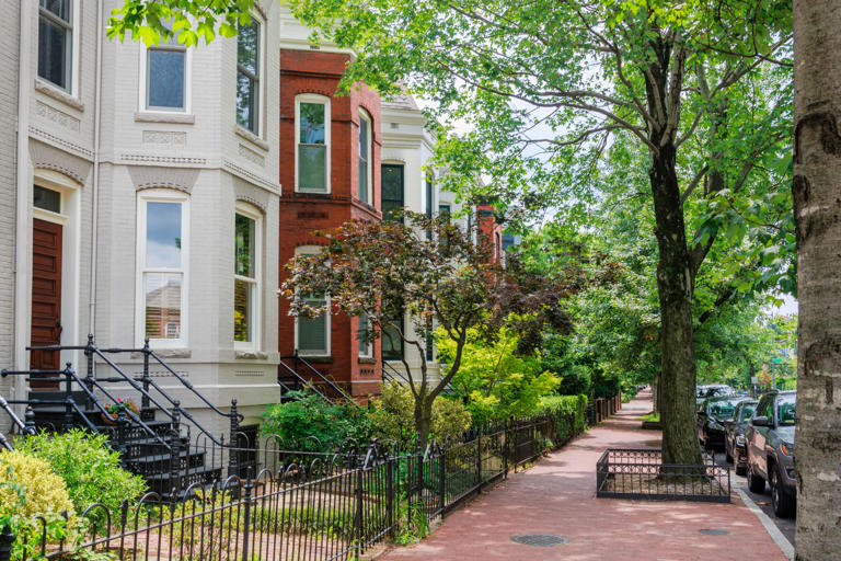 Living In Washington, D.C.