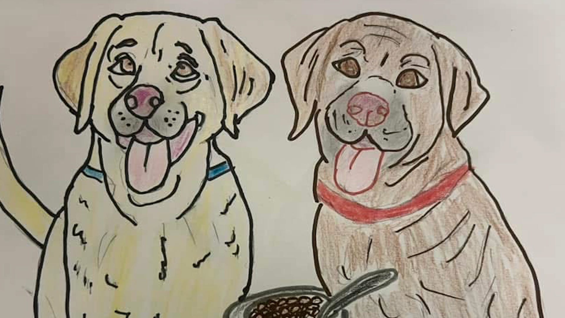 Watch as these pets get a one-of-a-kind drawing!