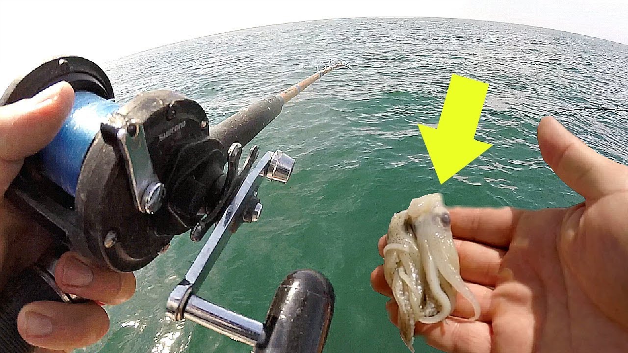 Bucket list catch lands using unusual bait strategy