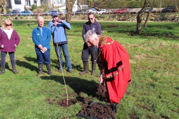 Mayor of Poole plants rare trees in gardens