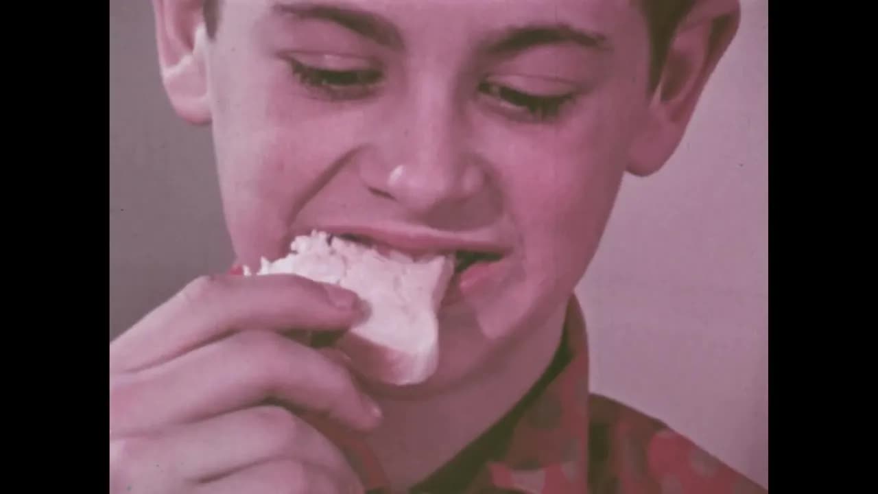 Complete Tooth Anatomy: Incisors, Cuspids, Bicuspids & Molars Explained