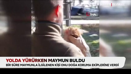 Elazığ'da yolda yürürken maymun bulan adam