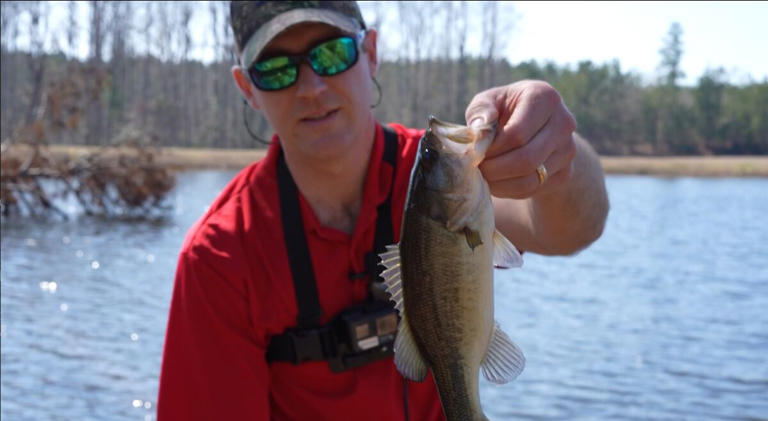 Reelin’ With Riley: Best spots for local bank fishing