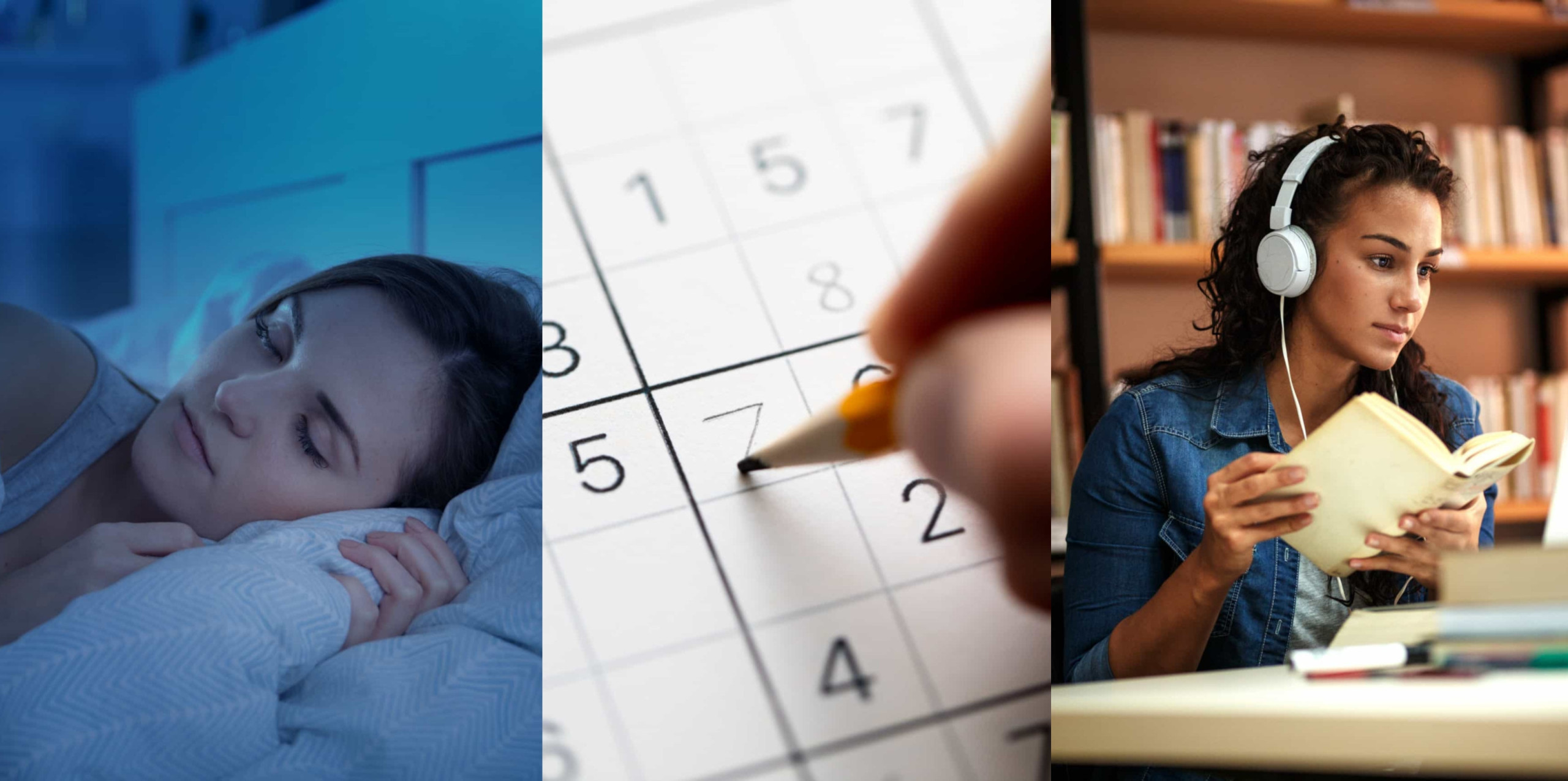 Affûtez votre intelligence jour après jour