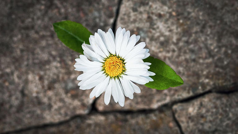 Resilient People Aren't Stronger — They Know How To Bounce Back