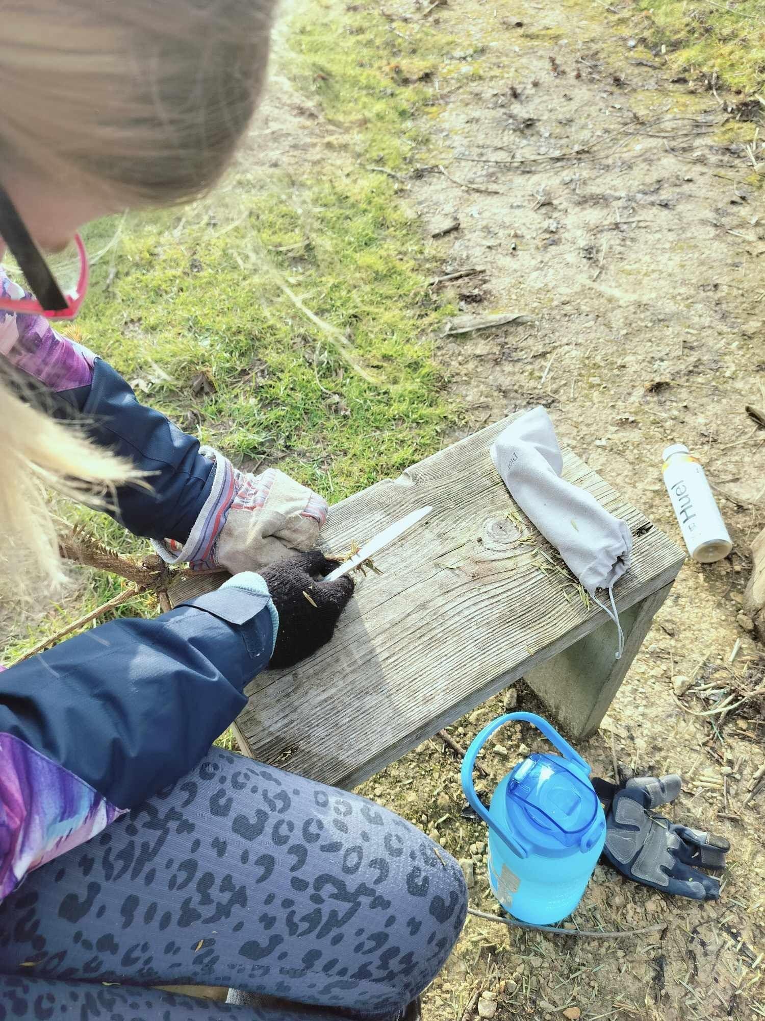 Recycled Christmas trees turned into wooden whisks and gifts