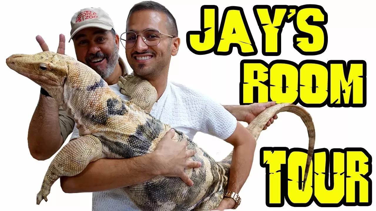 First Ever Two Tone Orange Dream Python Best Investment Gene of 2017