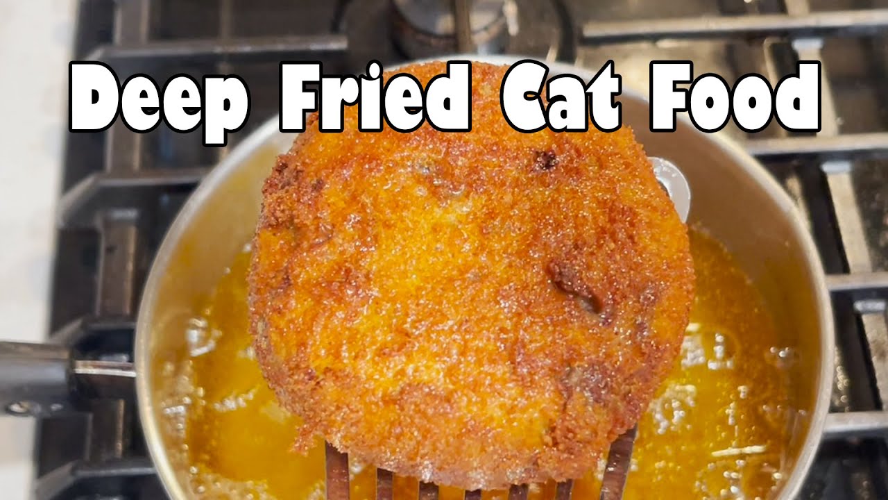 Deep-Fried Cat Food—A Crispy Experiment Gone Too Far?