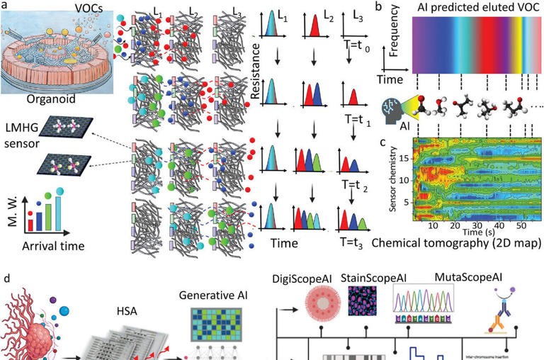 Insect vision inspires noninvasive method for deep tissue molecular mapping