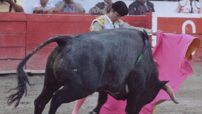 Hilda Tenorio y su resiliencia con el capote