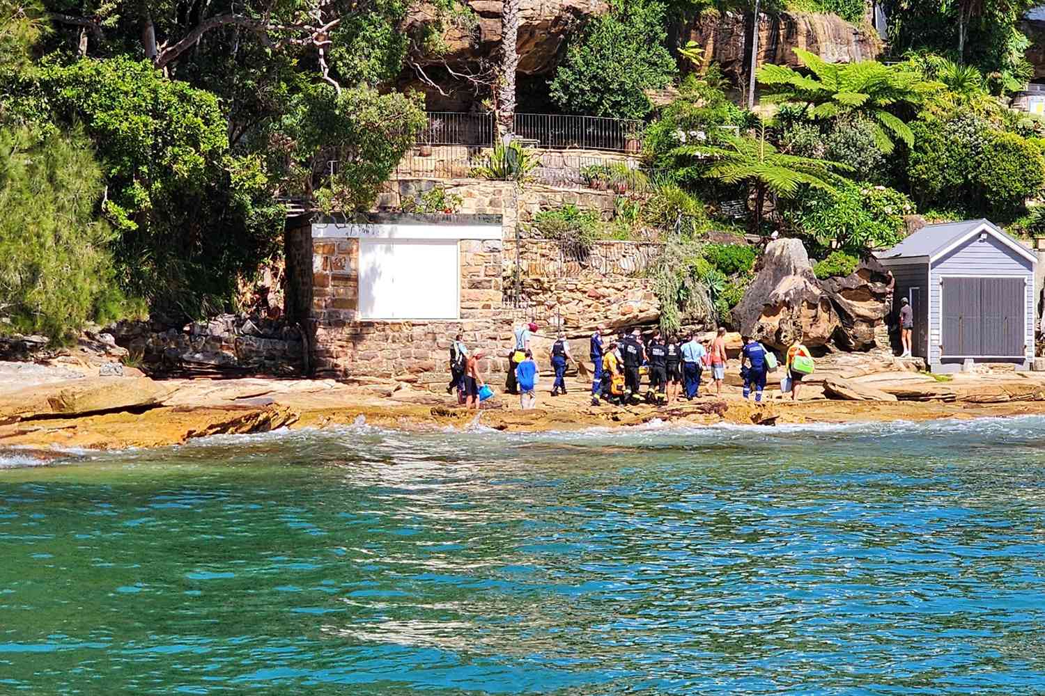 Woman, 59, Suffers 'Excruciating' Leg Injury in Shark Attack Near ...