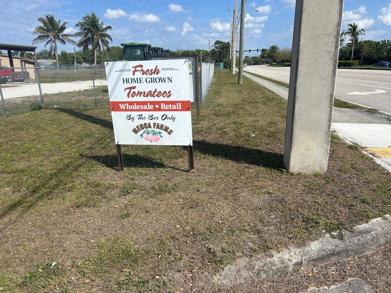 5 things to know about the Mecca family's plan to turn a tomato farm ...