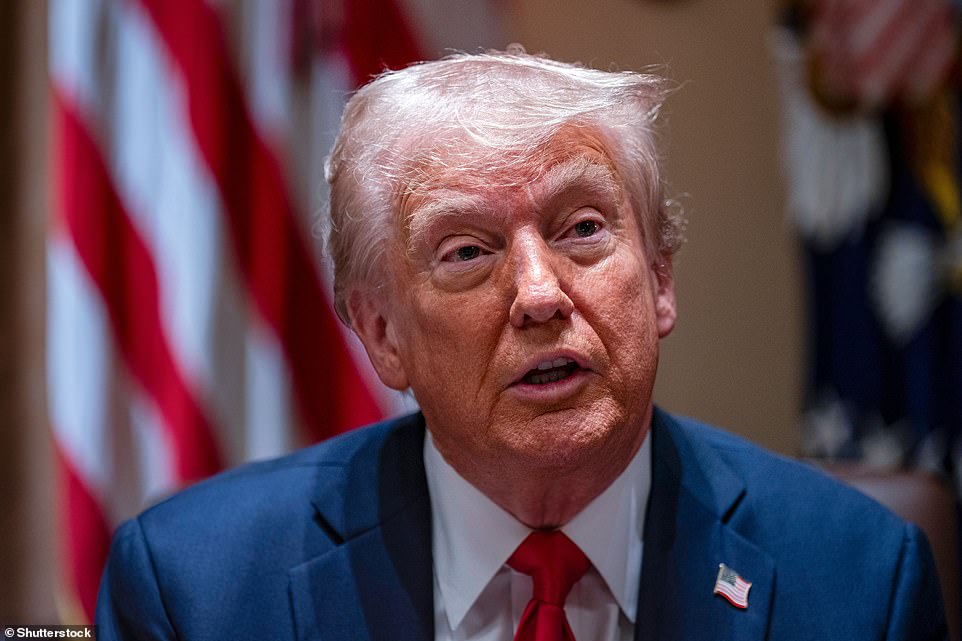 Trump chooses sides between Musk and Cabinet after legal challenges