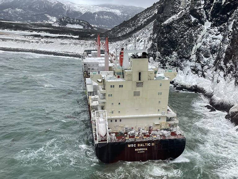 Videos show dramatic rescue after ship runs aground off Newfoundland in ...
