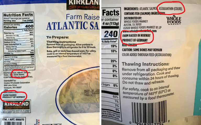 Are You Eating Dyed Salmon From Costco & Whole Foods? The Truth About ...