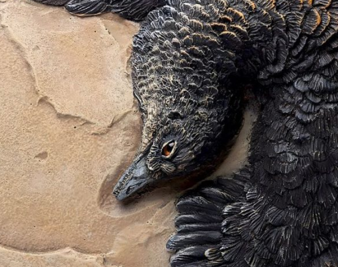 This incredible primitive bird changed the history of evolution