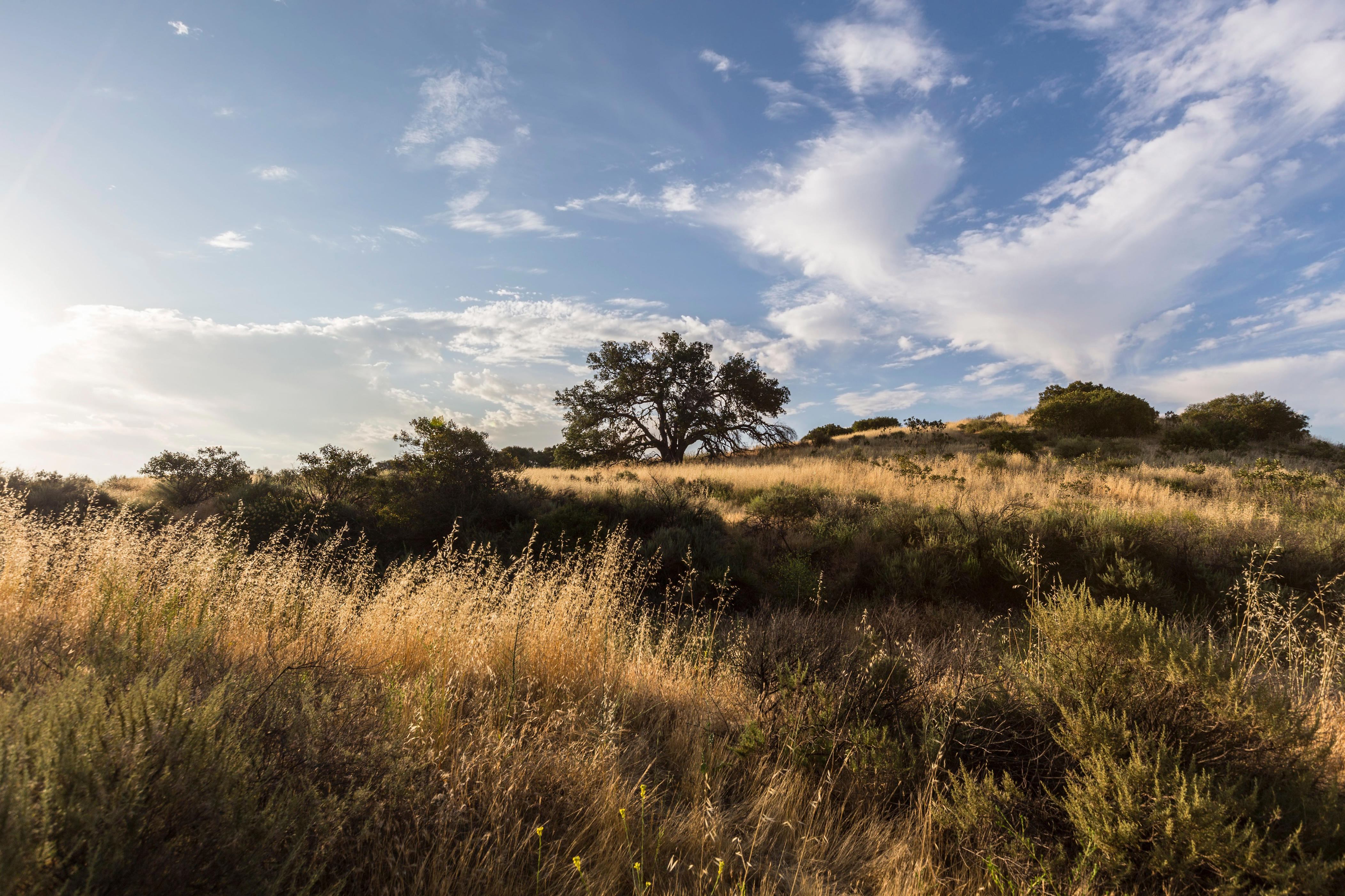 Santa Susana Pass turned into dumping ground for stolen safes and ATM ...