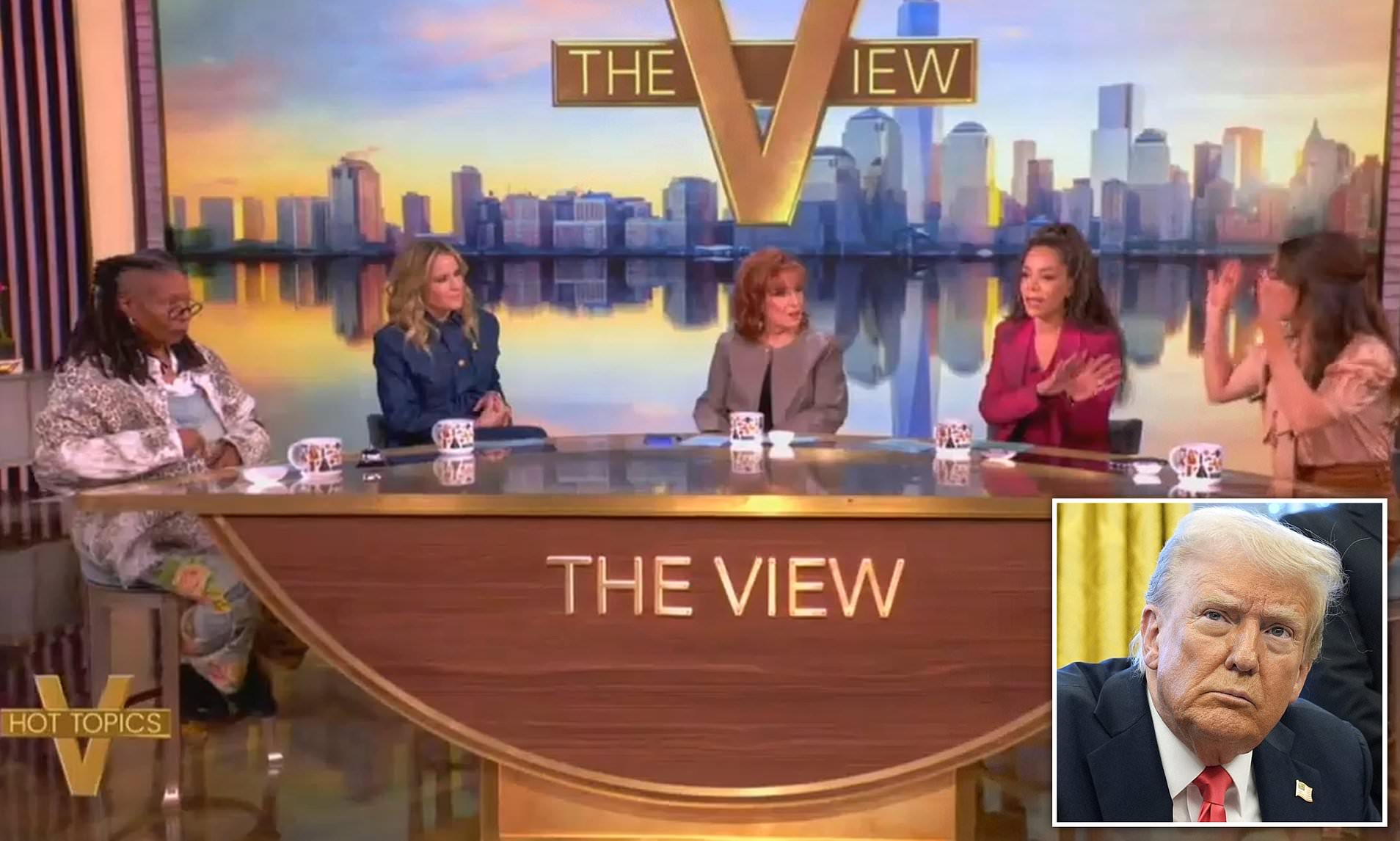 The View panel spirals into nasty on-air spat as hosts argue over Trump ...