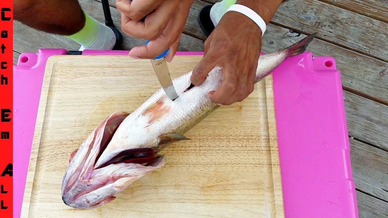 What’s Inside This Largemouth Bass?!