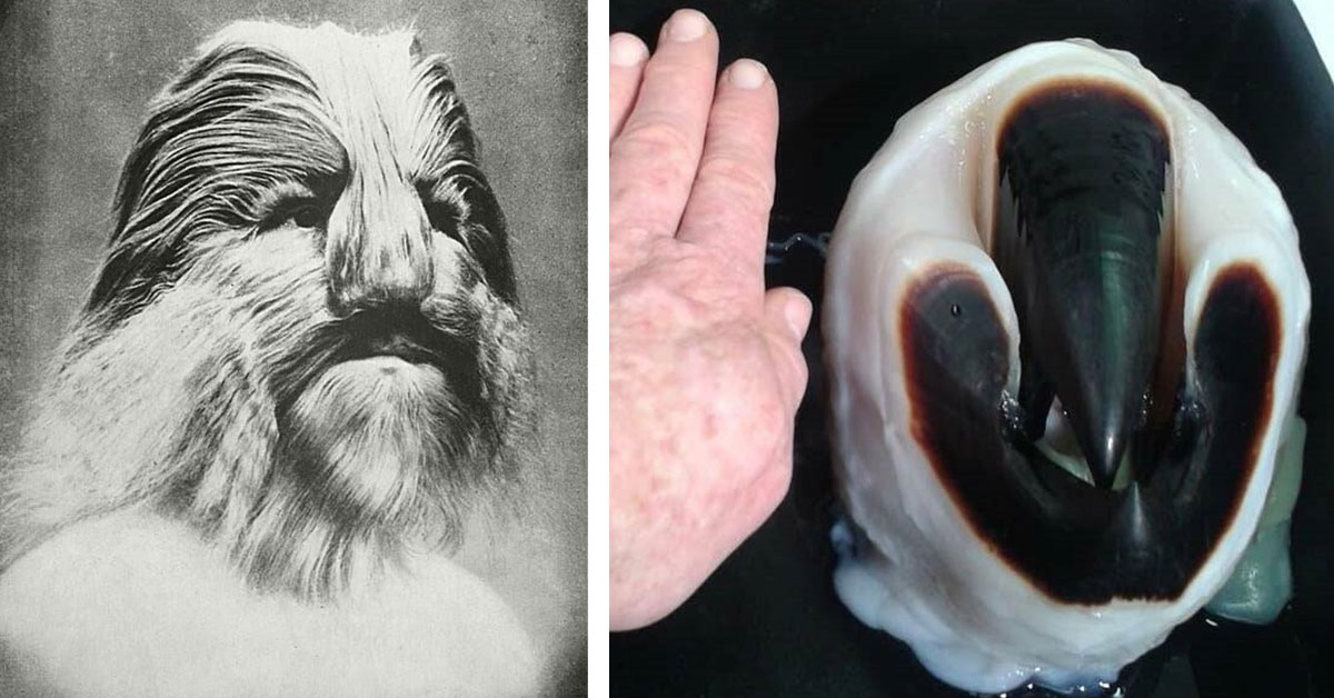 37 Captivating Images That Might Spark Your Curiosity