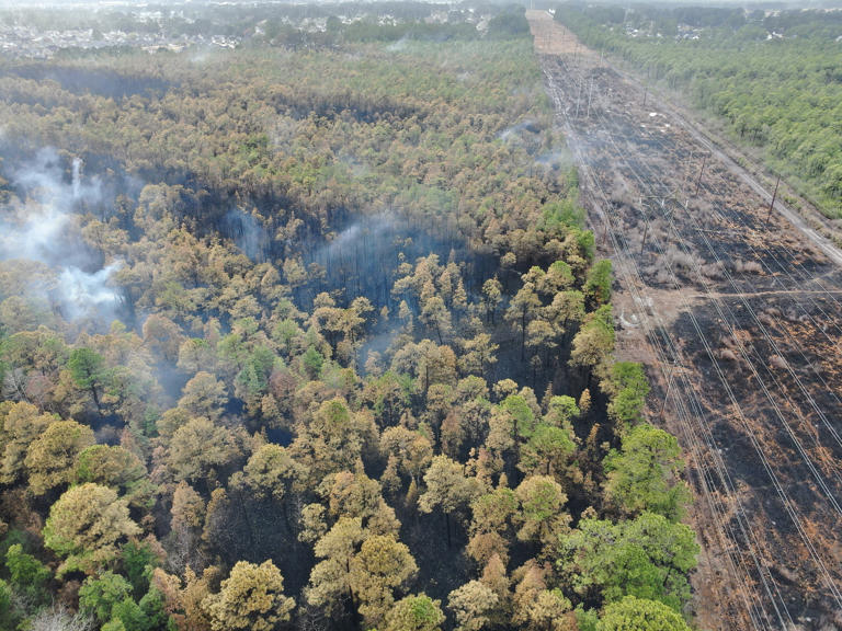 Carolina Forest wildfire remains 55% contained on day 9