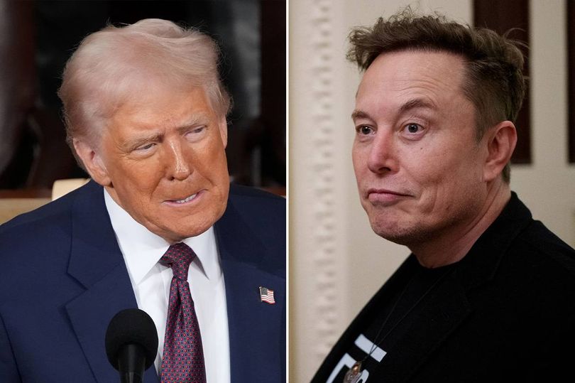 Trump slaps Musk with new limits after DOGE fired over 60,000 federal ...
