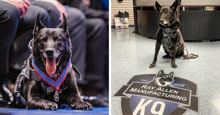 K9 Hurricane, Secret Service K9 Legend, Has Crossed The Rainbow Bridge At 15