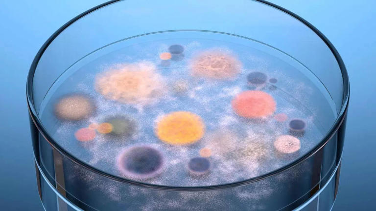 Deep sea secrets: Thousands of new microbes discovered in the ocean's ...